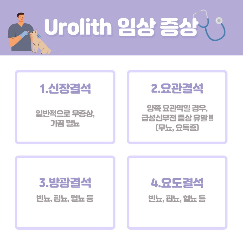 강아지 방광결석 (Urolith) > 진료후기 | 청담우리동물병원